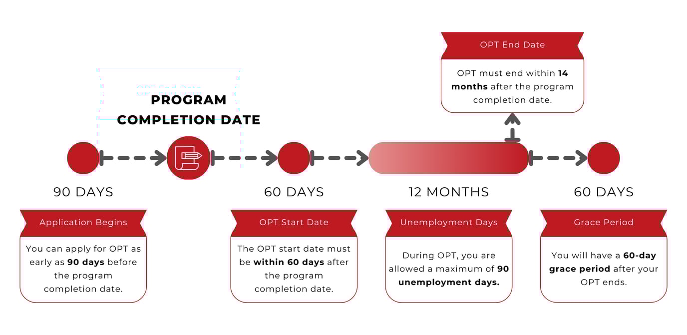 OPT Application Timeline